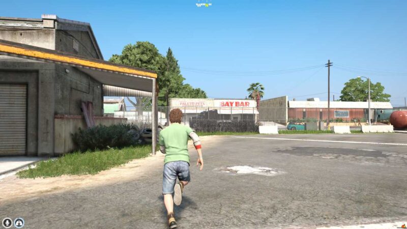 FiveM Pawn Shop Mlo - FiveM Mlos and Map Store